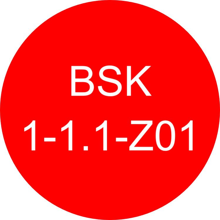BSK 1-1.1-Z01 | Marktek